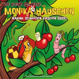 KARUSSELL Warum schmecken Kirschen süß?,1 Audio-CD - Kati Naumann (Hörbuch)