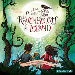 Silberfisch Die Geheimnisse von Ravenstorm Island 3: Der Mondsteinturm,2 Audio-CD - Gillian Philip (Hörbuch)