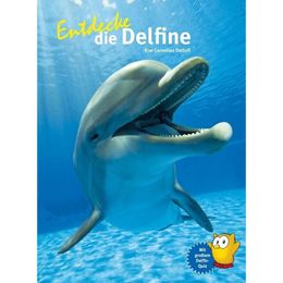 Entdecke die Delfine - Kim Cornelius Detloff, Gebunden