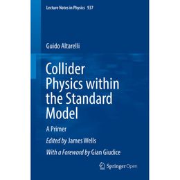 Springer Collider Physics within the Standard Model - Guido Altarelli, Kartoniert (TB)