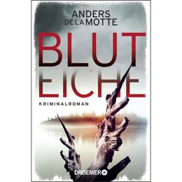 Droemer Knaur Verlagsgruppe Bluteiche - Anders de la Motte, Taschenbuch