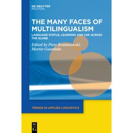 De Gruyter The Many Faces of Multilingualism, Kartoniert (TB)