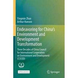 Springer Nature Endeavoring for China's Environment and Development Transformation - Yingmin Zhao, Arthur Hanson, Kartoniert (TB)