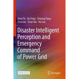Springer Nature Disaster Intelligent Perception and Emergency Command of Power Grid - Zhen Yu, Jie Feng, Shiyang Tang, Zeyu Liu, Yiran Yan, Na Luo, Kartoniert (TB)