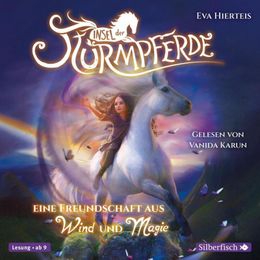 Silberfisch Insel der Sturmpferde 1: Eine Freundschaft aus Wind und Magie,3 Audio-CD - Eva Hierteis (Hörbuch)