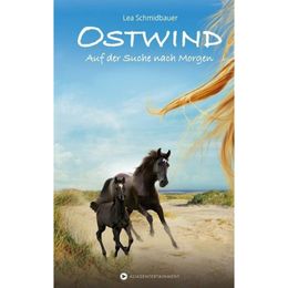 cbj Ostwind - Auf der Suche nach Morgen - Lea Schmidbauer, Taschenbuch