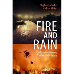 Springer Fire and Rain - Stephen LaDochy, Michael Witiw, Kartoniert (TB)