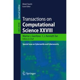 Springer Transactions on Computational Science XXVIII, Kartoniert (TB)