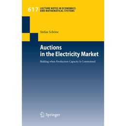 Springer Berlin Heidelberg Auctions in the Electricity Market - Stefan Schöne, Kartoniert (TB)