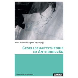 Gesellschaftstheorie im Anthropozän - Dipesh Chakrabarty, Benno Fladvad, Jürgen Scheffran, Sighard Neckel, Kartoniert (TB)