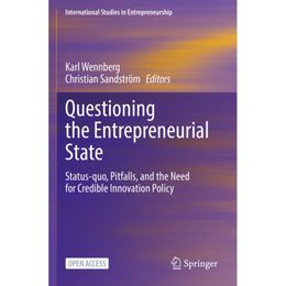 Questioning the Entrepreneurial State, Kartoniert (TB)