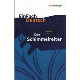 EinFach Deutsch Textausgaben - Theodor Storm, Kartoniert (TB)