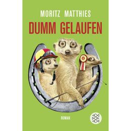 Dumm gelaufen / Erdmännchen Ray & Rufus Bd.3 - Moritz Matthies, Taschenbuch