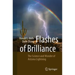 Springer Flashes of Brilliance - Ronald L. Holle, Daile Zhang, Kartoniert (TB)