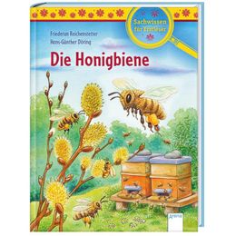 arena Die Honigbiene - Friederun Reichenstetter, Gebunden