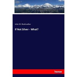Hansebooks If Not Silver - What? - John W. Bookwalter, Kartoniert (TB)