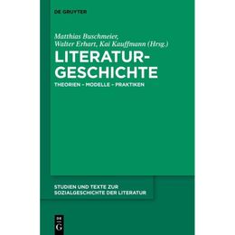 De Gruyter Literaturgeschichte, Kartoniert (TB)
