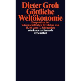 Göttliche Weltökonomie - Dieter Groh, Taschenbuch