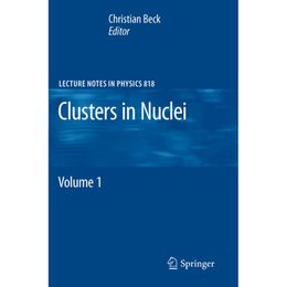 Springer Clusters in Nuclei, Kartoniert (TB)