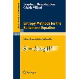 Springer Entropy Methods for the Boltzmann Equation - Fraydoun Rezakhanlou, Cédric Villani, Kartoniert (TB)