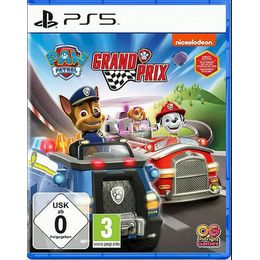 Atari Paw Patrol Grand Prix PS-5 Playstation 5