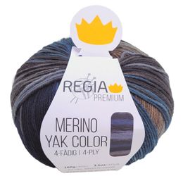 Regia Sockenwolle 4-fädig Merino Yak Color Wolle zum Stricken und Häkeln Häkelwolle