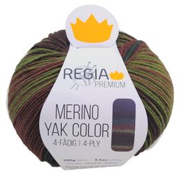 Regia Sockenwolle 4-fädig Merino Yak Color Wolle zum Stricken und Häkeln Häkelwolle