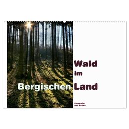 Wald im Bergischen Land 2024 (Wandkalender 2024 DIN A2 quer), Calvendo Monatskalender