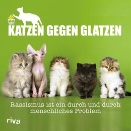 Riva Verlag Katzen gegen Glatzen - Paul von Katzenstein, Gebunden