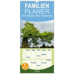 Familienplaner 2024 - Alte Bäume Alte Veteranen mit 5 Spalten (Wandkalender, 21 x 45 cm) Calvendo