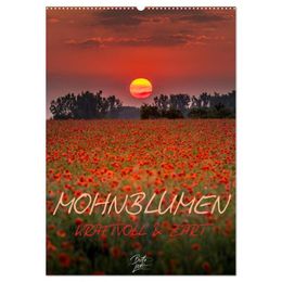 Mohnblumen - kraftvoll und zart (Wandkalender 2024 DIN A2 hoch), Calvendo Monatskalender
