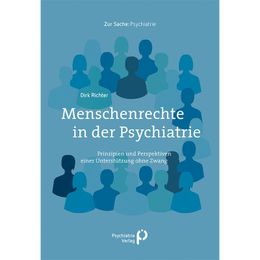 Menschenrechte in der Psychiatrie - Dirk Richter, Kartoniert (TB)