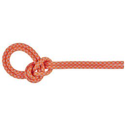 Mammut - 8.7 Crag Sender Dry Rope - Einfachseil Länge 100 m rosa