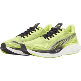 Puma® Laufschuhe " Velocity", Schnürung, dämpfend, für Herren, gelb, 46