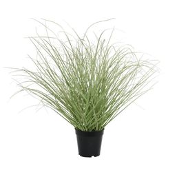 SONSTIGE Kunstpflanze GRAS (BL 50x50 cm)