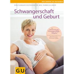 Schwangerschaft und Geburt - Birgit Gebauer-Sesterhenn, Thomas Villinger, Kartoniert (TB)