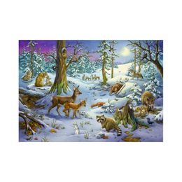 Coppenrath Verlag Sticker-Adventskalender "Tiere im Winterwald" 2023 von Coppenrath