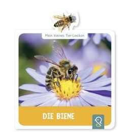 Mein kleines Tier-Lexikon - Die Biene - Hannah Kastenhuber, Gebunden
