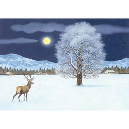 GERSTENBERG Zauberhafte Winternacht Adventskalender