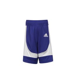 adidas Performance Trainingsshorts N3XT L3V3L Prime Game Basketballshorts Kinder