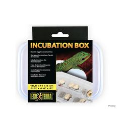 EXO TERRA Terrarium Inkubations-Box