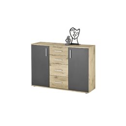 SONSTIGE Kommode ALYSHA (BHT 120x84x35 cm) BHT 120x84x35 cm grau Sideboard Bürokommode Anrichte