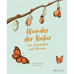 Wunder der Natur zum Innehalten und Staunen - Rachel Williams, Freya Hartas, Gebunden