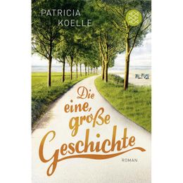 Die eine, große Geschichte - Patricia Koelle, Taschenbuch