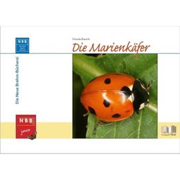 Die Marienkäfer - Ursula Rauch, Gebunden