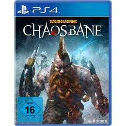 Big Ben Interactive Warhammer: Chaosbane Playstation 4