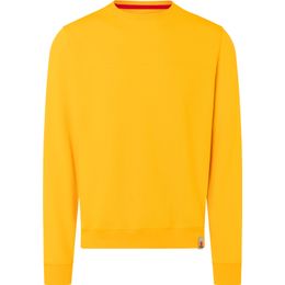 Timezone Sweatshirt, Rippbündchen, für Herren, gelb, XL