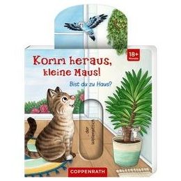 Komm heraus, kleine Maus!: Bist du zu Haus?