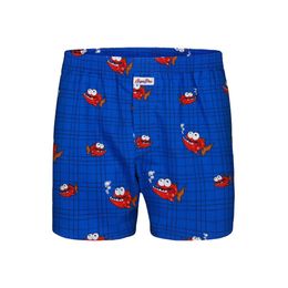 Sugar Pine Boxer shorts ' Webboxershorts weit Motive Print ' male Blue size XL