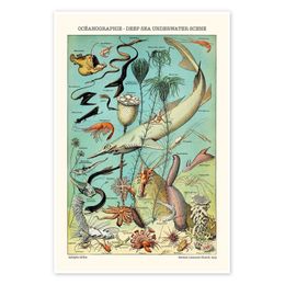 Posterlounge Poster Adolphe Millot